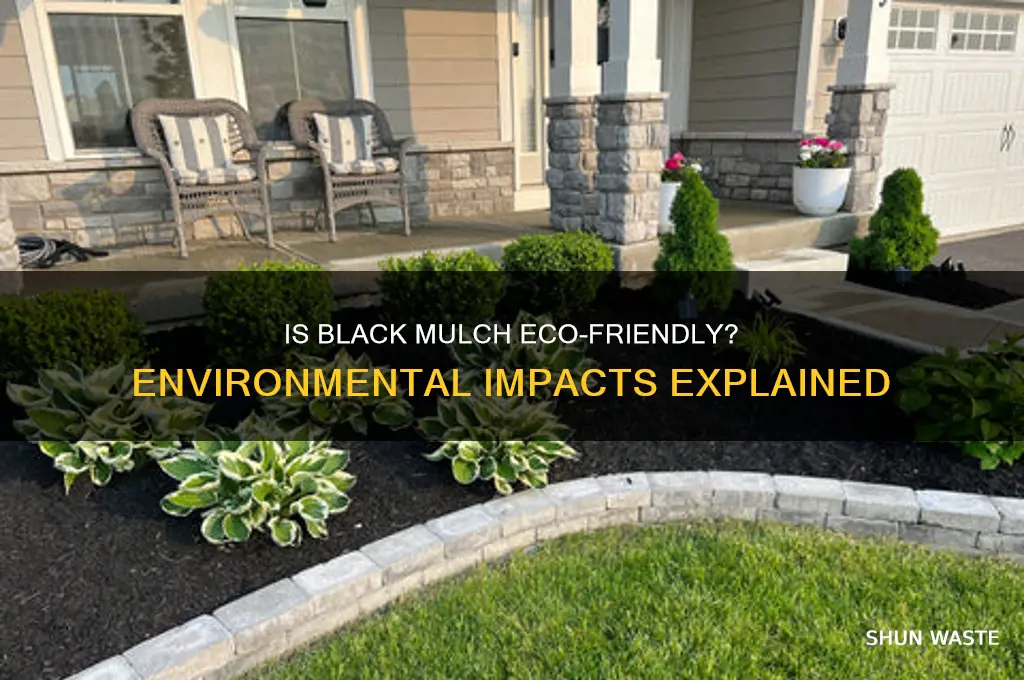 Is Black Mulch Eco-Friendly? Environmental Impacts Explained | ShunWaste
