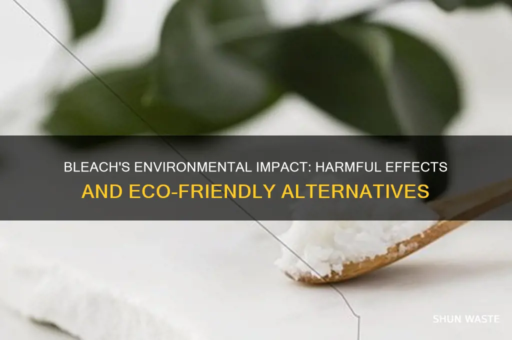 Bleach's Environmental Impact: Harmful Effects And Eco-Friendly ...