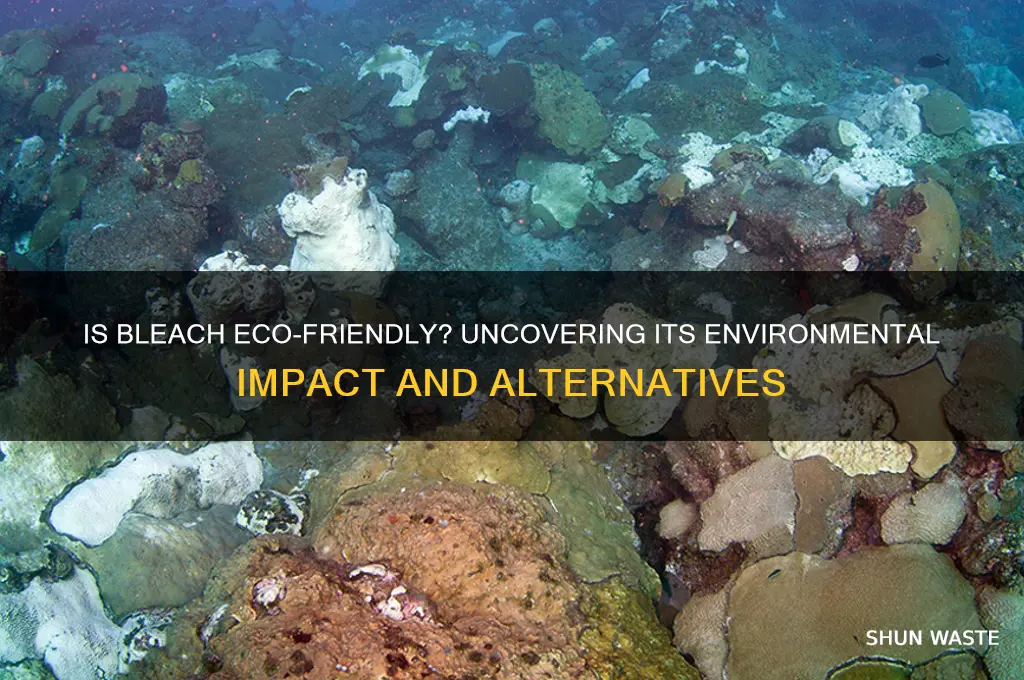 Is Bleach Eco-Friendly? Uncovering Its Environmental Impact And ...