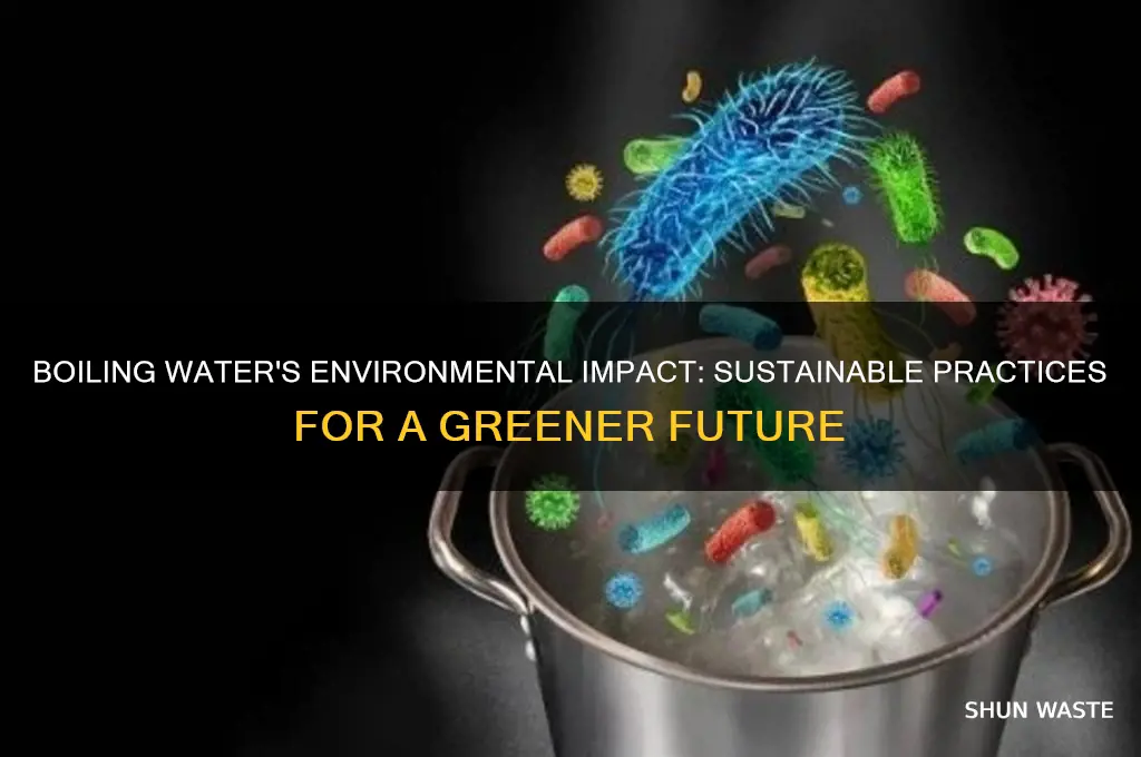 Boiling Water's Environmental Impact: Sustainable Practices For A ...