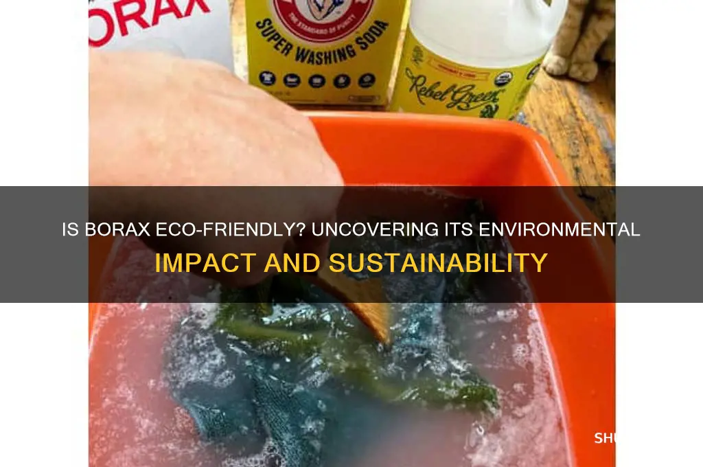 Is Borax Eco-Friendly? Uncovering Its Environmental Impact And ...