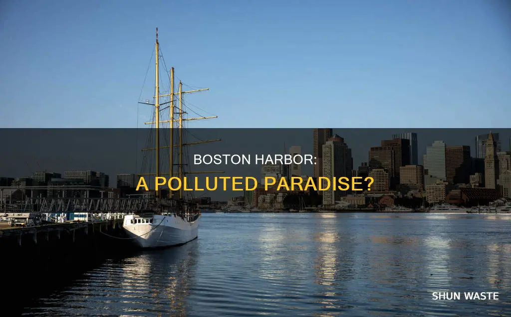 Boston Harbor: A Polluted Paradise? | ShunWaste