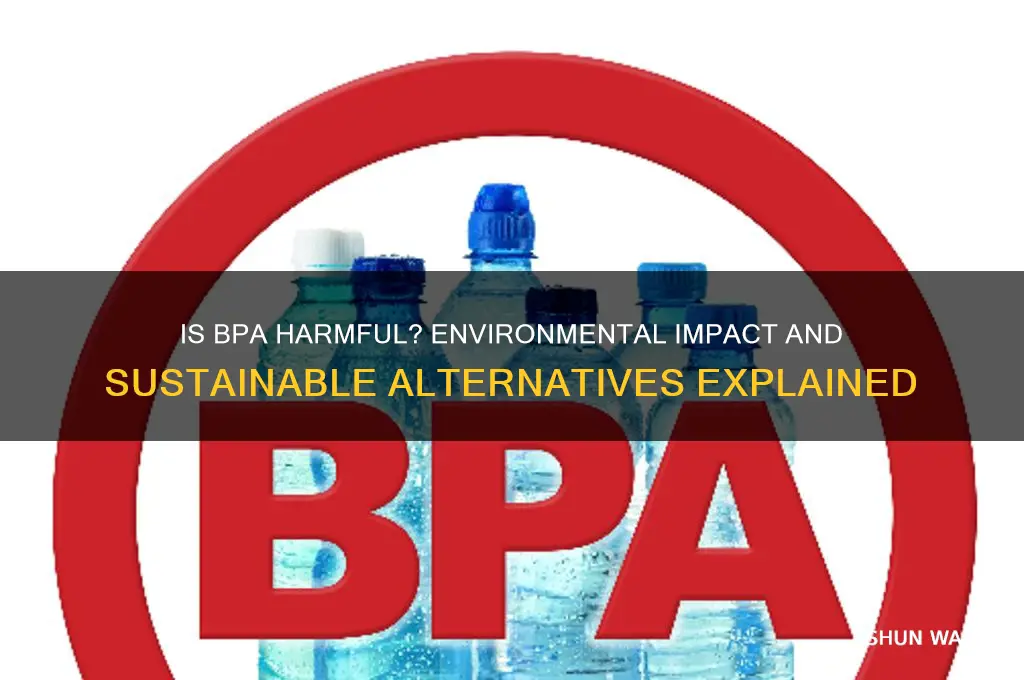 Is Bpa Harmful? Environmental Impact And Sustainable Alternatives ...