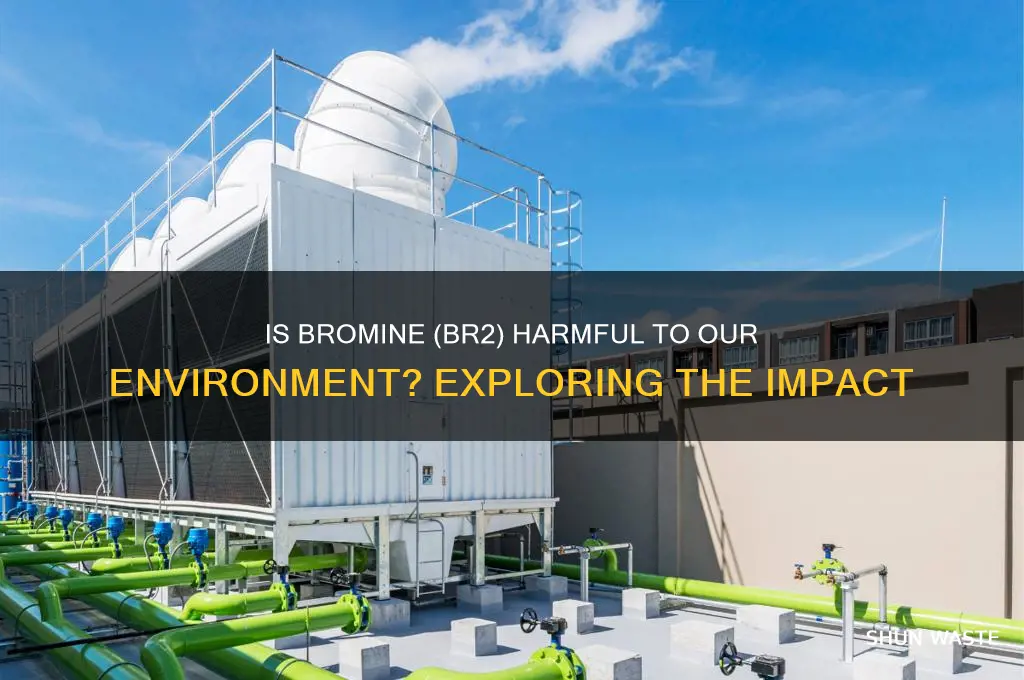 Is Bromine (Br2) Harmful To Our Environment? Exploring The Impact ...