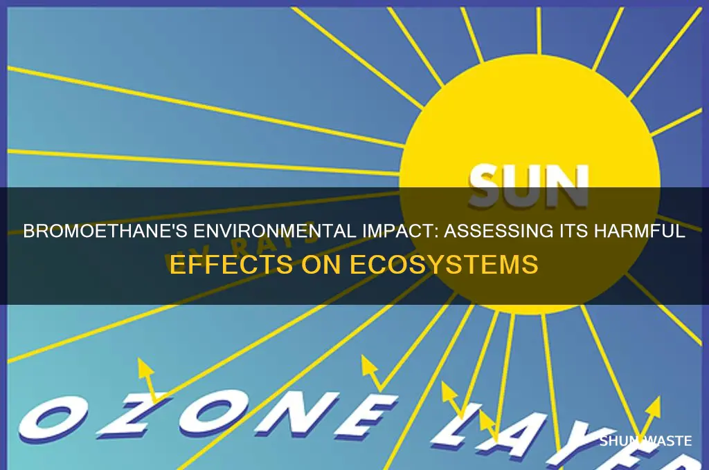 Bromoethane's Environmental Impact: Assessing Its Harmful Effects On ...