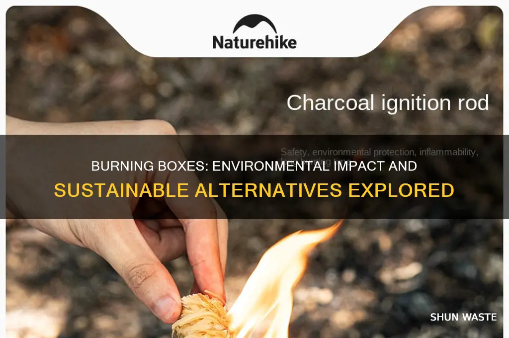 Burning Boxes: Environmental Impact And Sustainable Alternatives ...