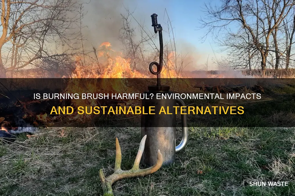 Is Burning Brush Harmful? Environmental Impacts And Sustainable ...