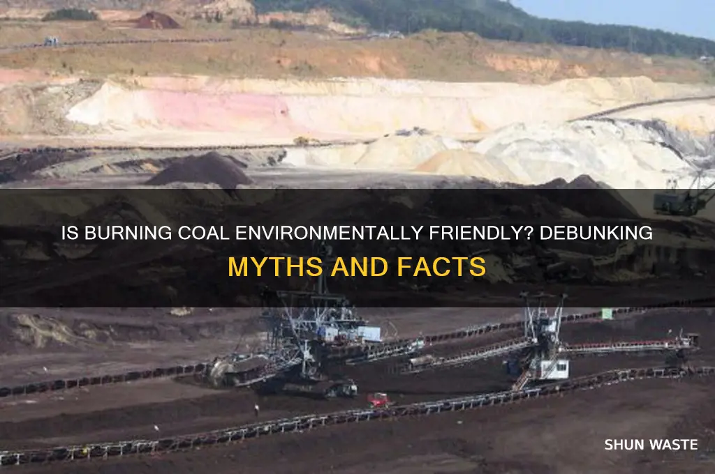Is Burning Coal Environmentally Friendly? Debunking Myths And Facts ...