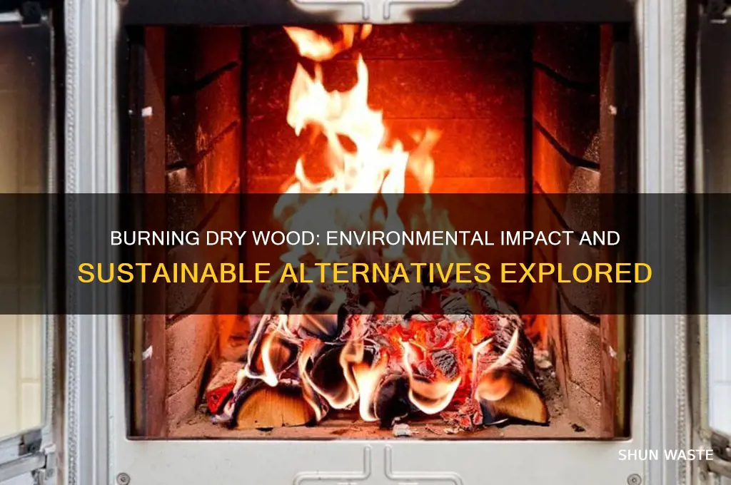 Burning Dry Wood: Environmental Impact And Sustainable Alternatives ...
