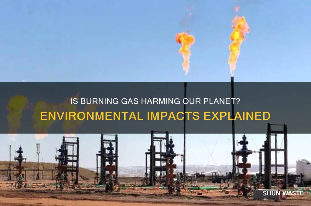 Is Burning Gas Harming Our Planet? Environmental Impacts Explained ...