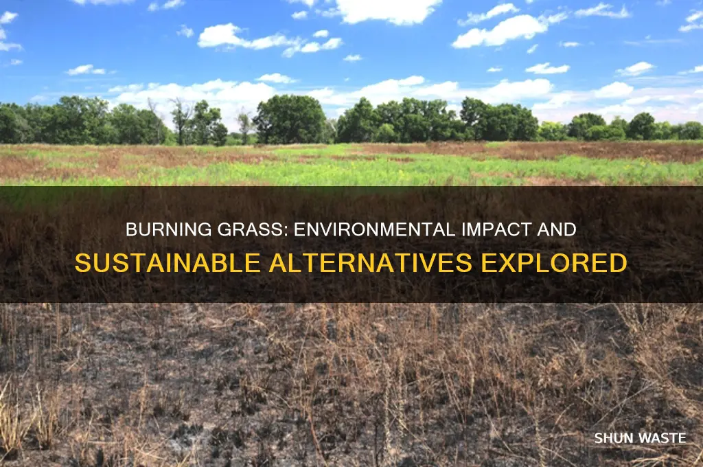 Burning Grass: Environmental Impact And Sustainable Alternatives ...