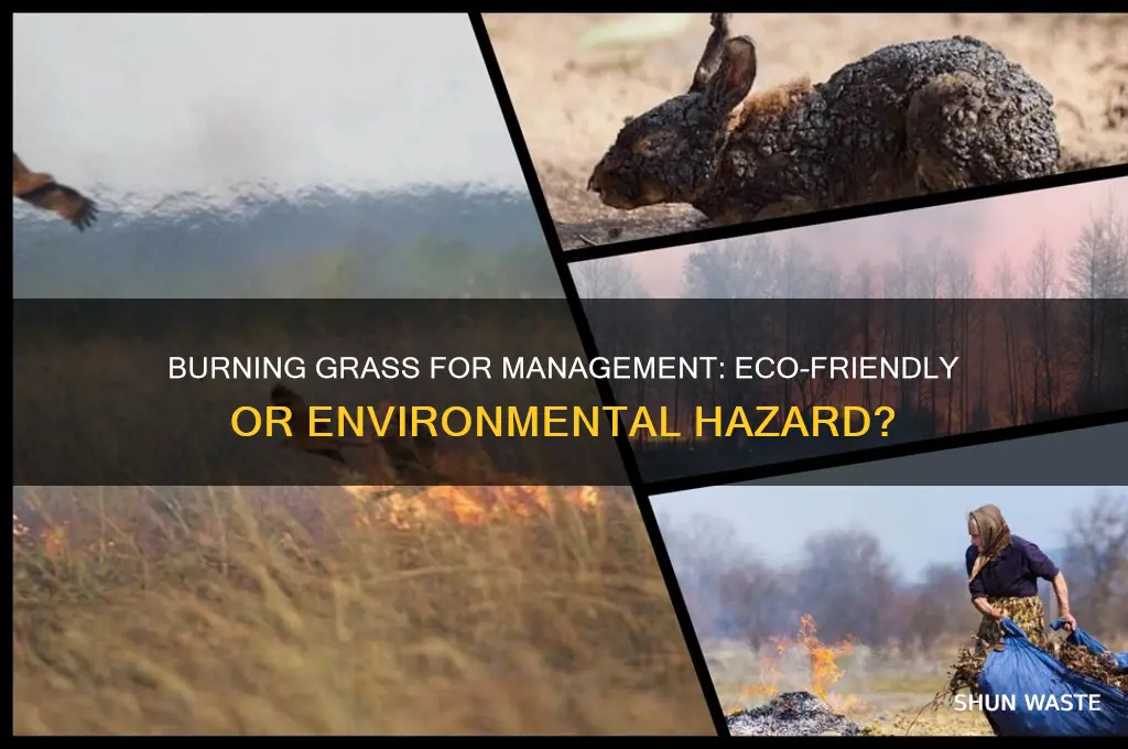 Burning Grass For Management: Eco-Friendly Or Environmental Hazard ...