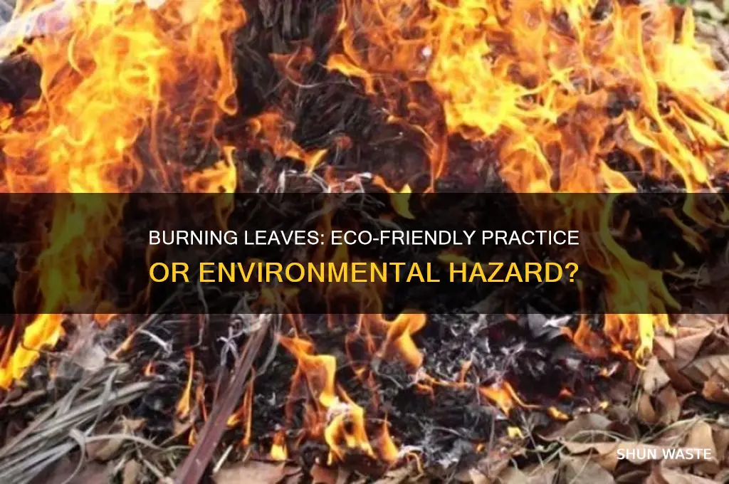 Burning Leaves: Eco-Friendly Practice Or Environmental Hazard? | ShunWaste