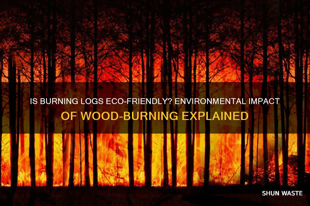 Is Burning Logs Eco-Friendly? Environmental Impact Of Wood-Burning ...