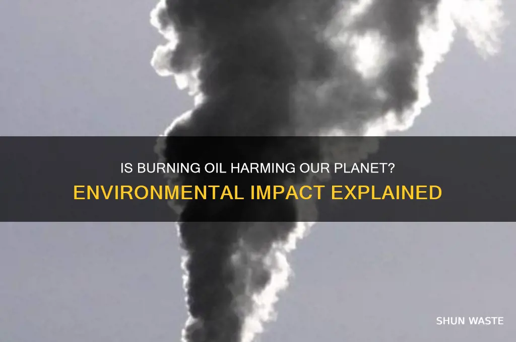 Is Burning Oil Harming Our Planet? Environmental Impact Explained ...