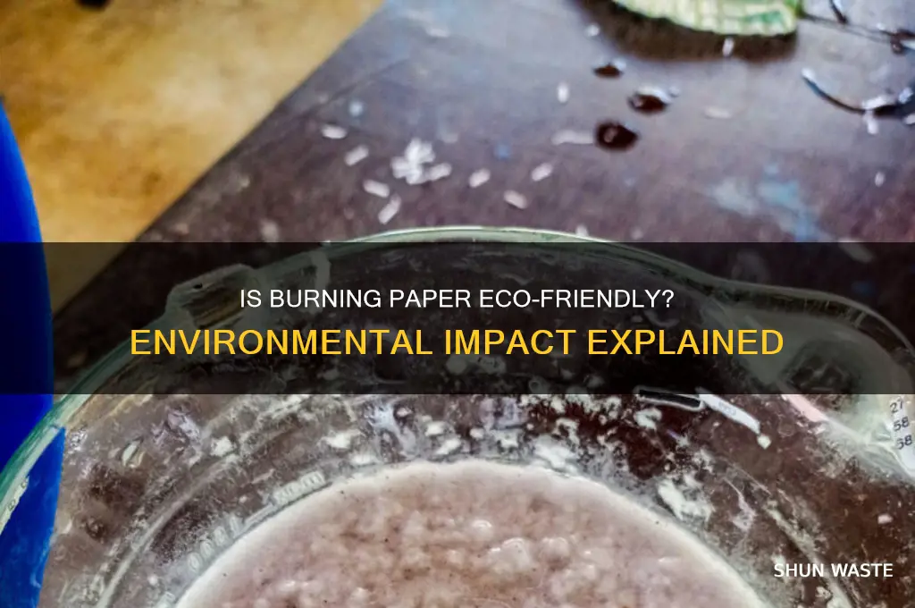 Is Burning Paper Eco-Friendly? Environmental Impact Explained | ShunWaste