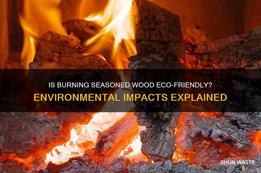 Is Burning Seasoned Wood Eco-Friendly? Environmental Impacts Explained ...