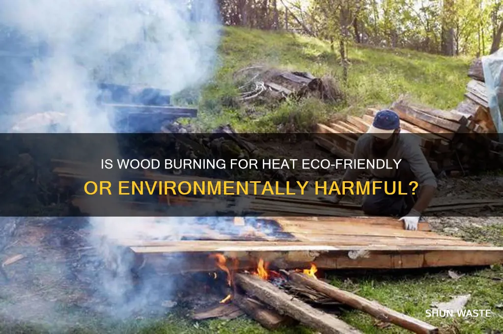 Is Wood Burning For Heat Eco-Friendly Or Environmentally Harmful ...
