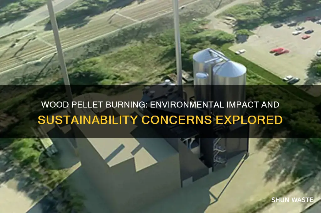 Wood Pellet Burning: Environmental Impact And Sustainability Concerns ...