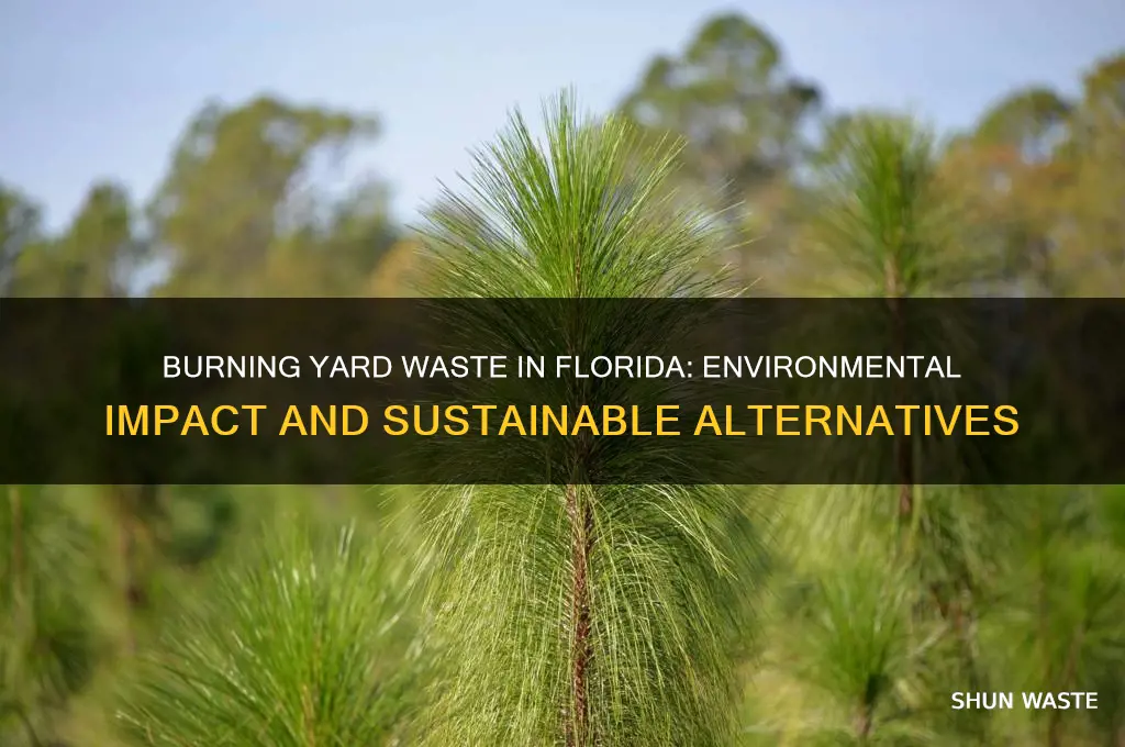 Burning Yard Waste In Florida: Environmental Impact And Sustainable ...