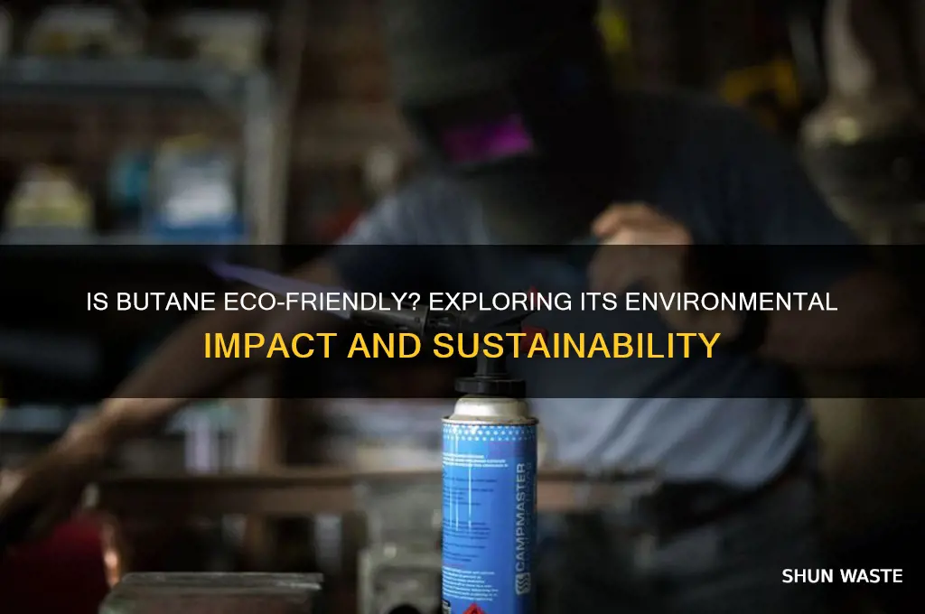 Is Butane Eco-Friendly? Exploring Its Environmental Impact And ...
