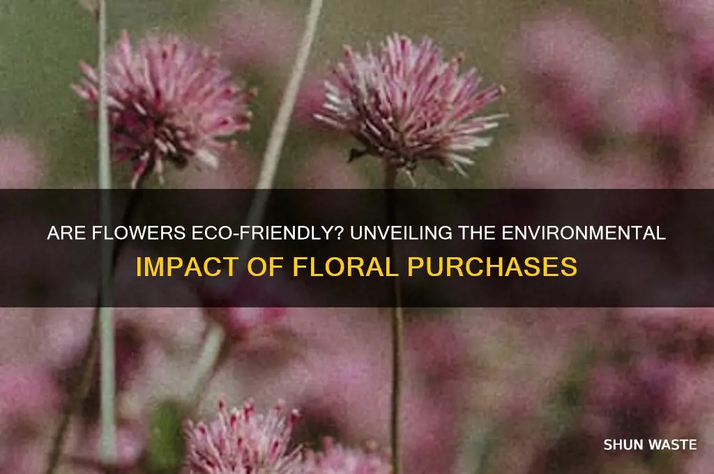 Are Flowers Eco-Friendly? Unveiling The Environmental Impact Of Floral ...