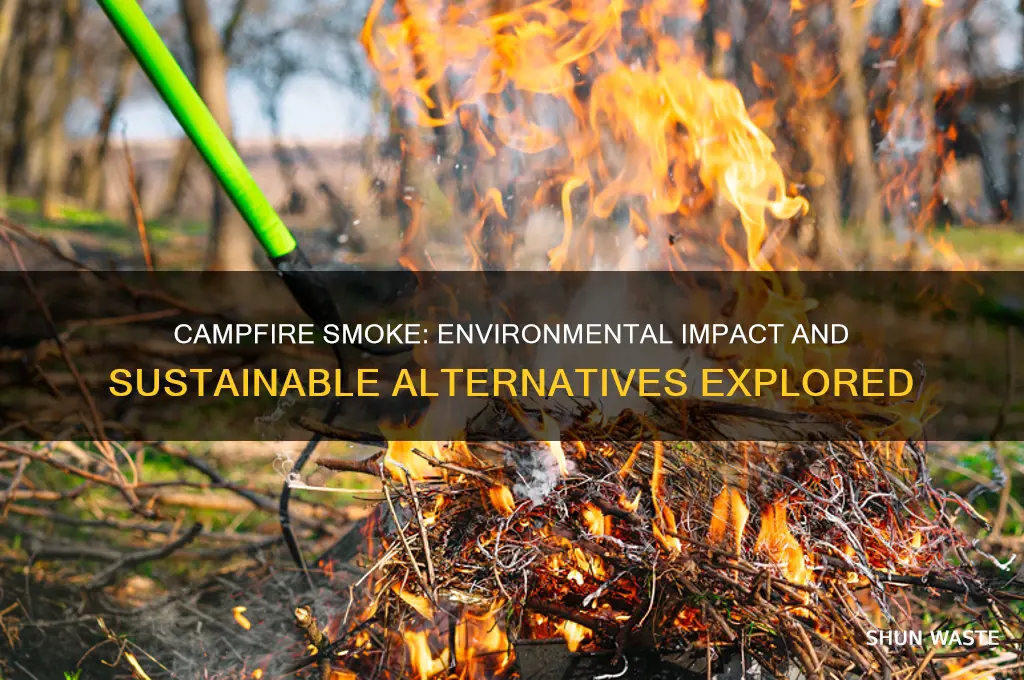 Campfire Smoke: Environmental Impact And Sustainable Alternatives ...