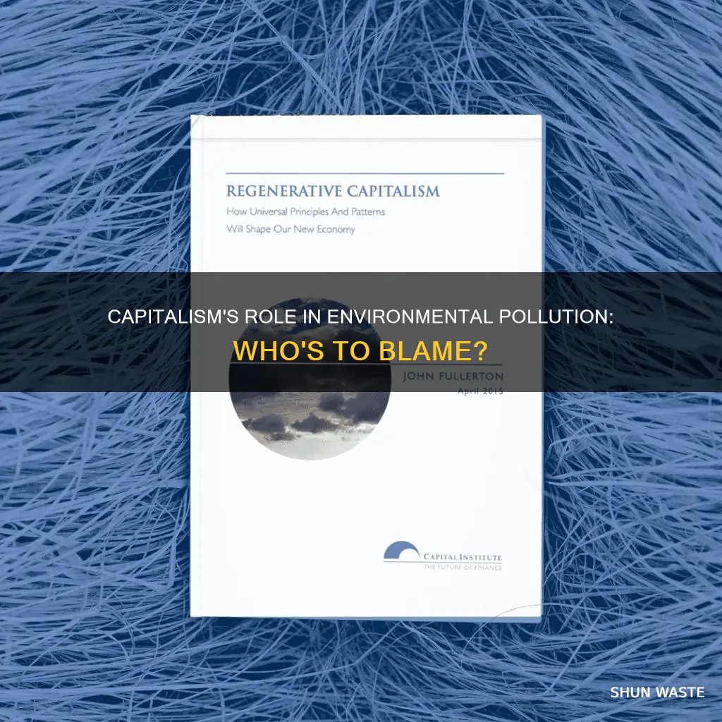 Capitalism's Role In Environmental Pollution: Who's To Blame? | ShunWaste