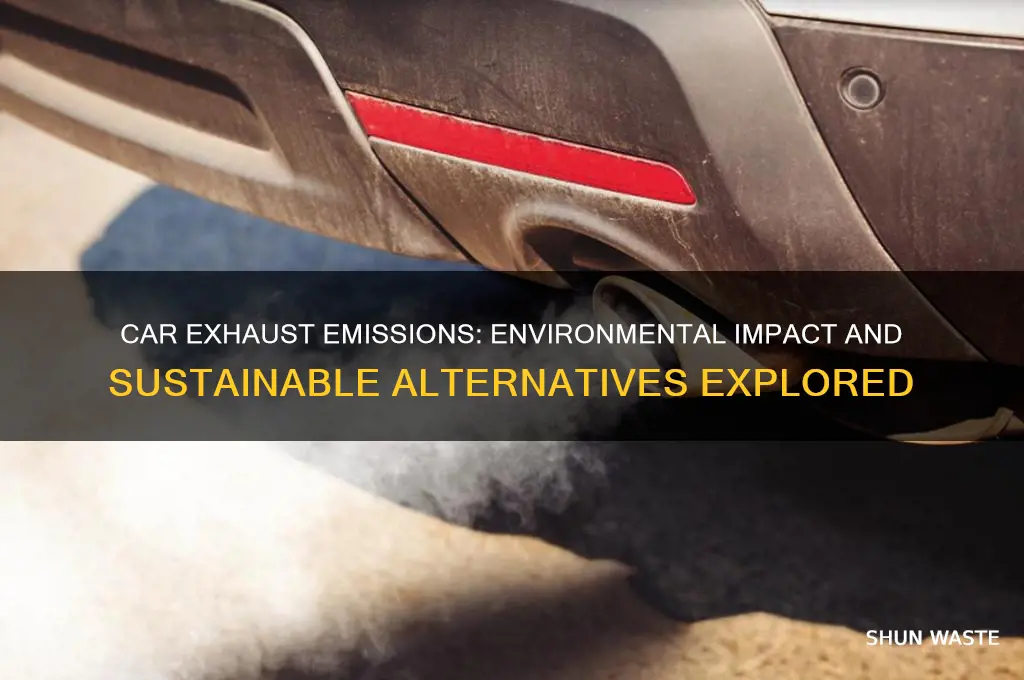 Car Exhaust Emissions: Environmental Impact And Sustainable ...