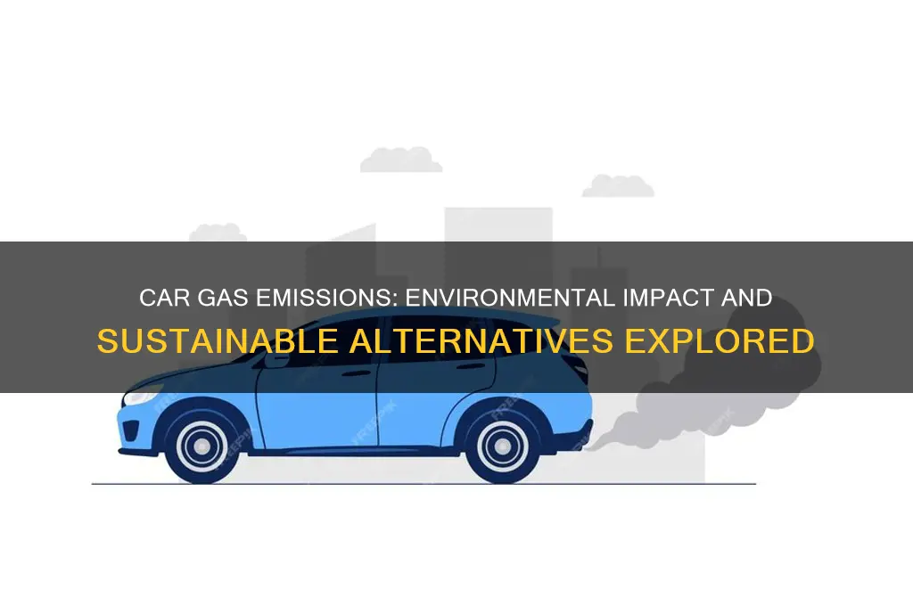 Car Gas Emissions: Environmental Impact And Sustainable Alternatives ...