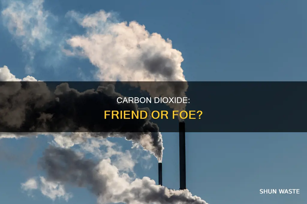 Carbon Dioxide: Friend Or Foe? | ShunWaste