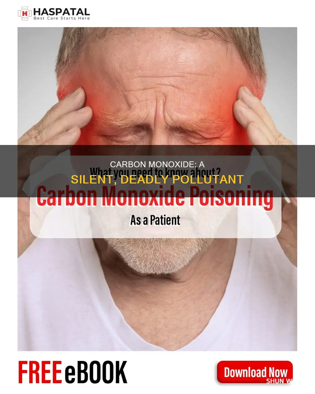 Carbon Monoxide: A Silent, Deadly Pollutant | ShunWaste