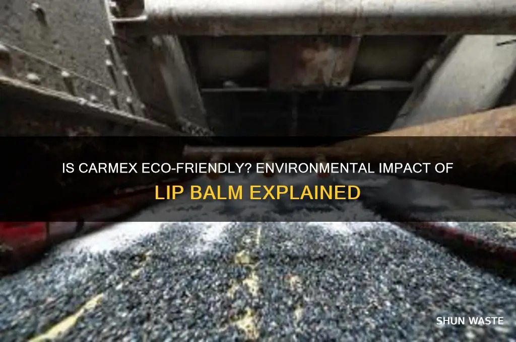 Is Carmex Eco-Friendly? Environmental Impact Of Lip Balm Explained ...