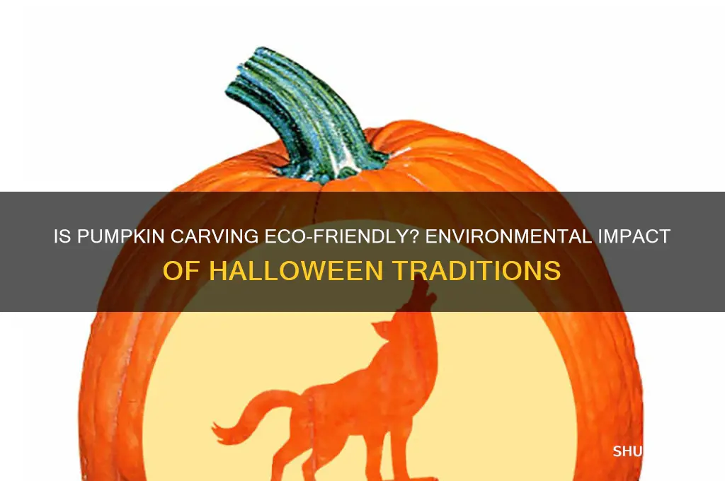 Is Pumpkin Carving Eco-Friendly? Environmental Impact Of Halloween ...