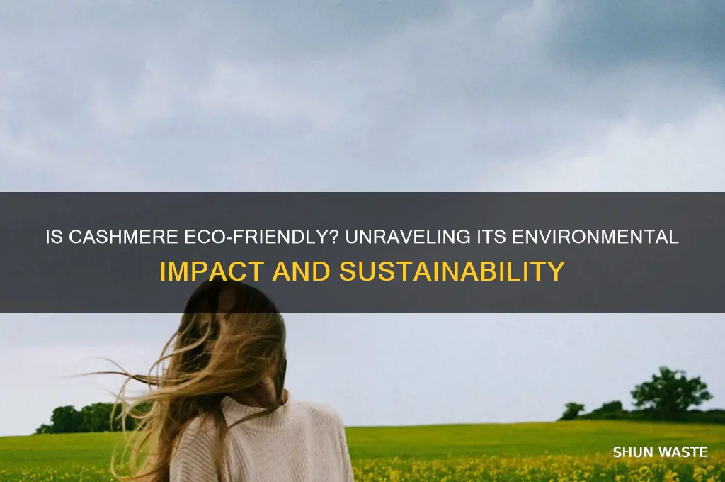 Is Cashmere Eco-Friendly? Unraveling Its Environmental Impact And ...