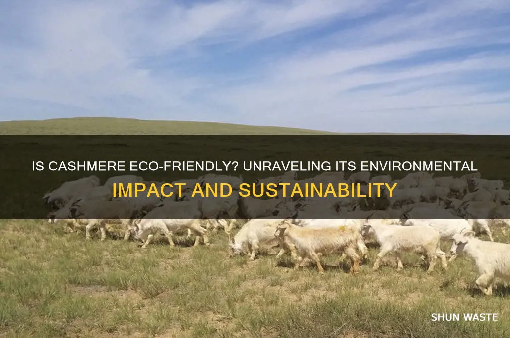 Is Cashmere Eco-Friendly? Unraveling Its Environmental Impact And ...