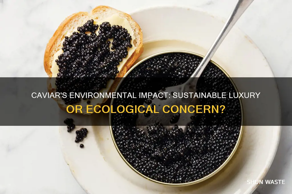 Caviar's Environmental Impact: Sustainable Luxury Or Ecological Concern ...