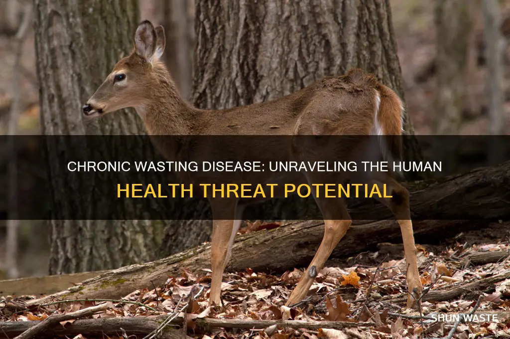 Chronic Wasting Disease: Unraveling The Human Health Threat Potential ...