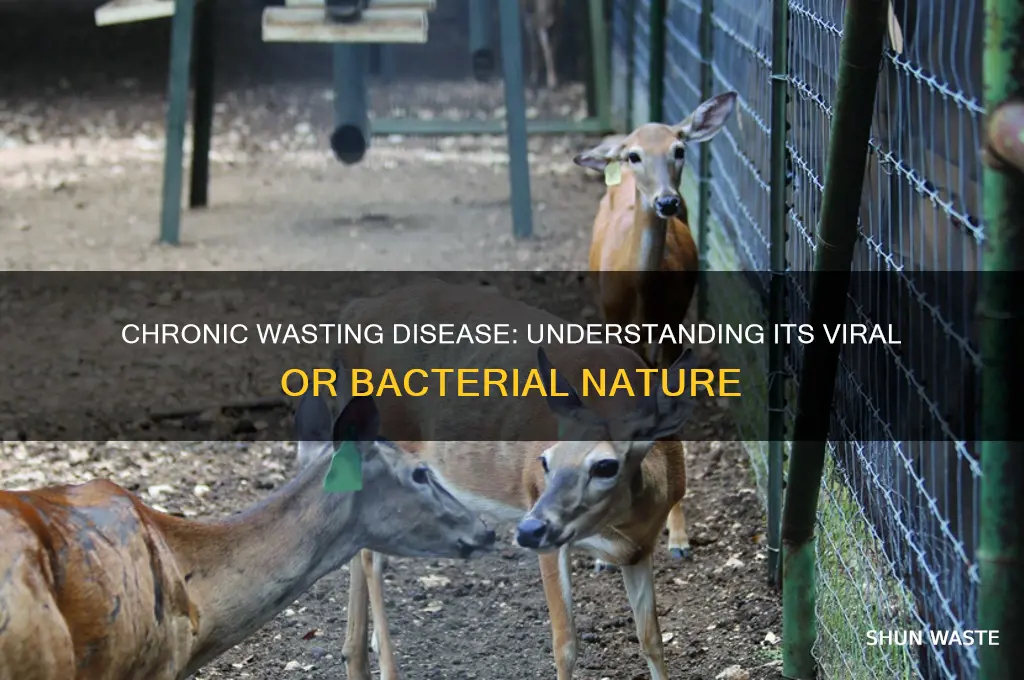Chronic Wasting Disease: Understanding Its Viral Or Bacterial Nature ...