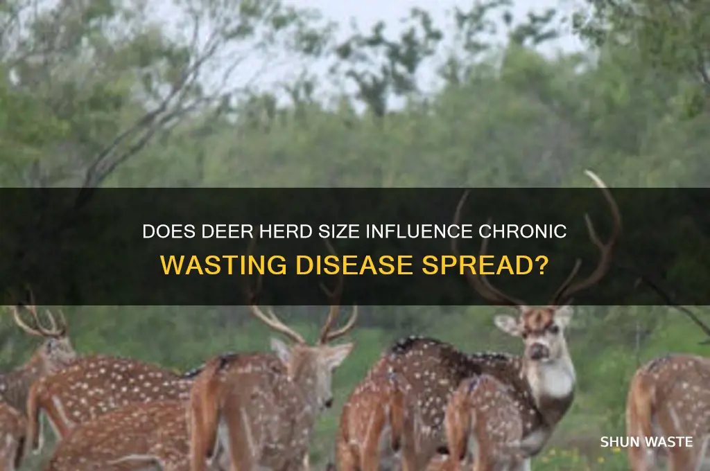 Does Deer Herd Size Influence Chronic Wasting Disease Spread? | ShunWaste