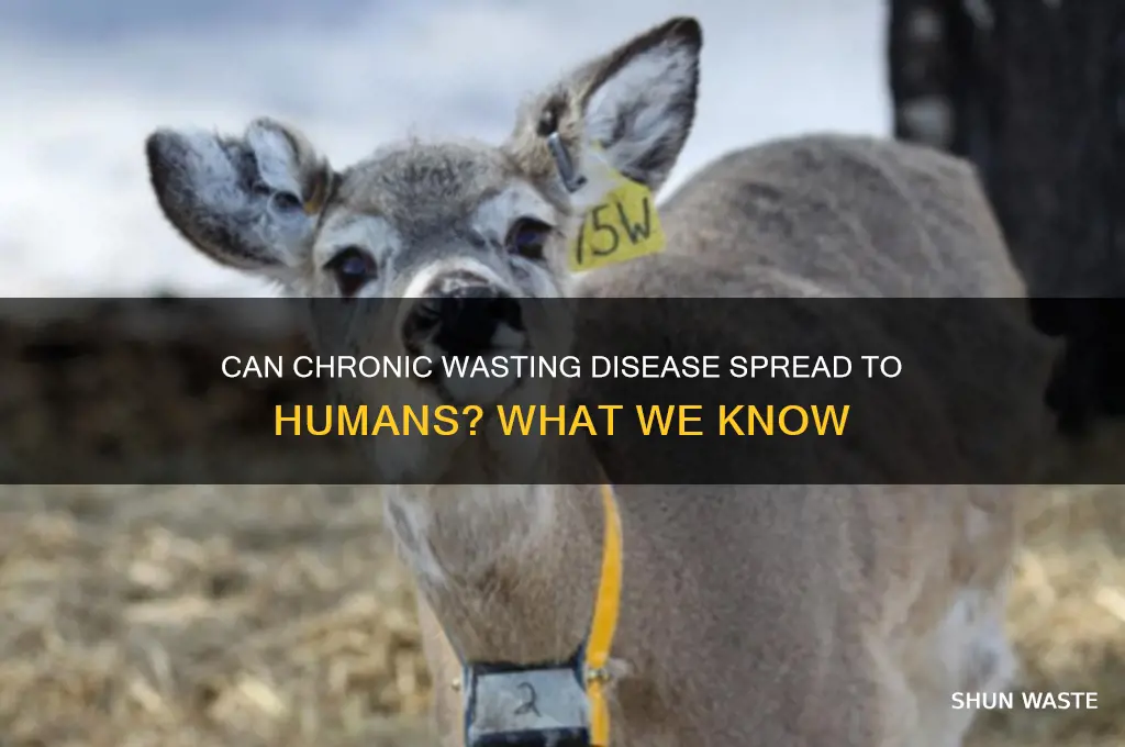 Can Chronic Wasting Disease Spread To Humans? What We Know | ShunWaste