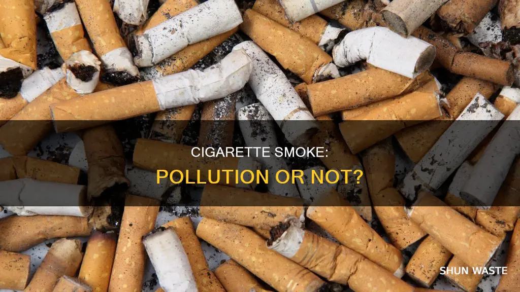 Cigarette Smoke: Pollution Or Not? | ShunWaste