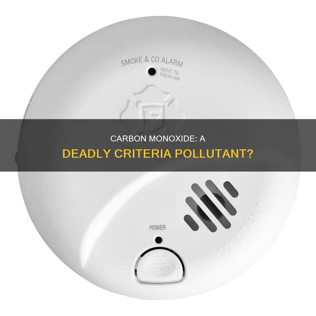 Carbon Monoxide: A Deadly Criteria Pollutant? | ShunWaste