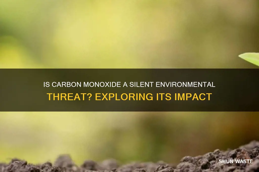 Is Carbon Monoxide A Silent Environmental Threat? Exploring Its Impact ...