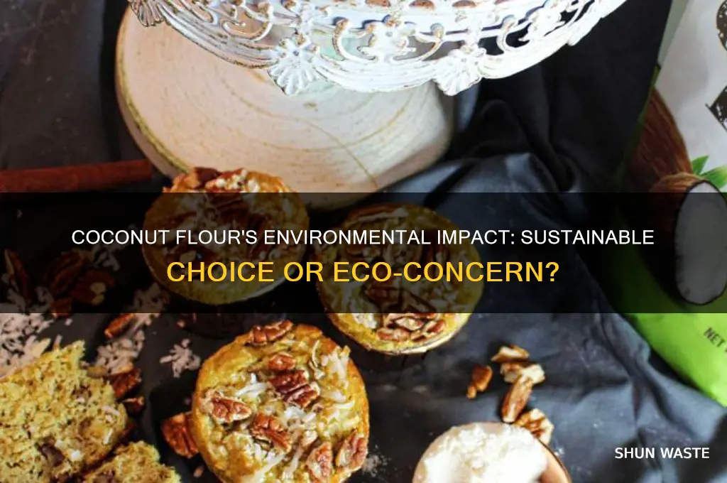 Coconut Flour's Environmental Impact: Sustainable Choice Or Eco-Concern ...