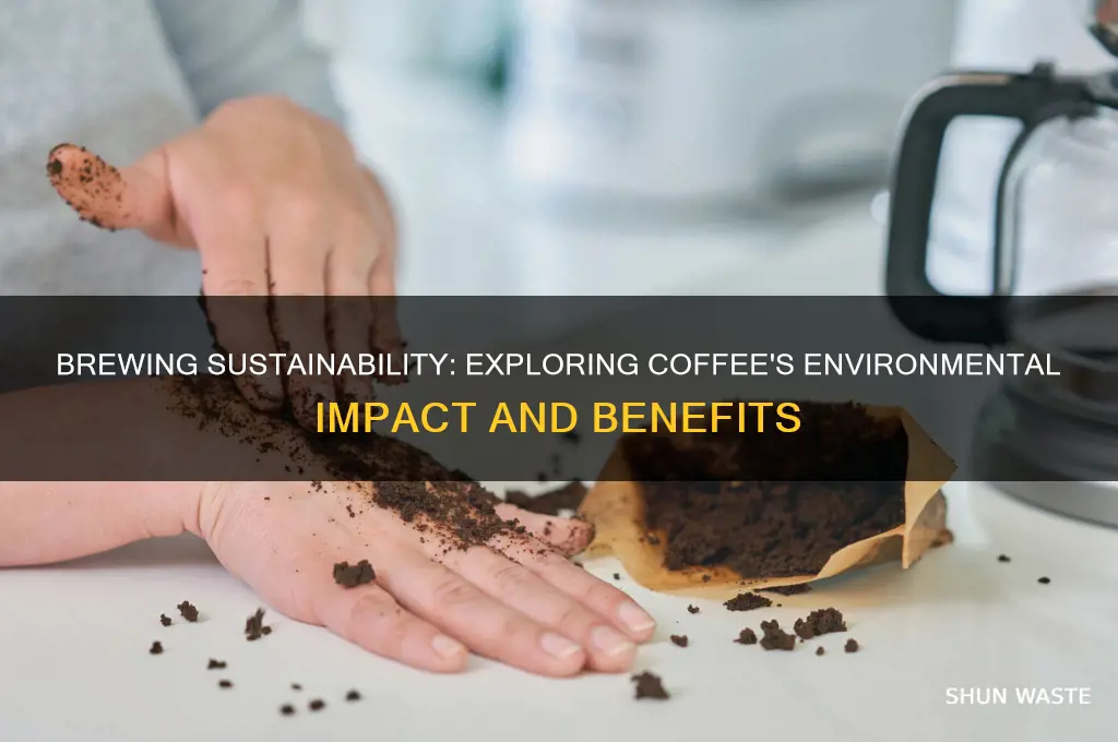 Brewing Sustainability: Exploring Coffee's Environmental Impact And ...