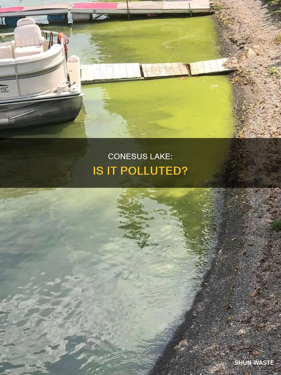 Conesus Lake: Is It Polluted? | ShunWaste