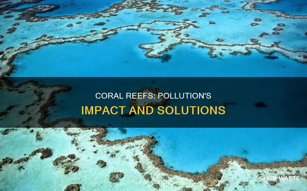 Coral Reefs: Pollution's Impact And Solutions | ShunWaste