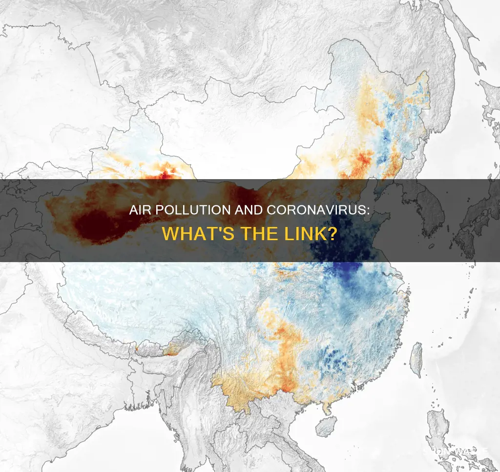 Air Pollution And Coronavirus: What's The Link? | ShunWaste
