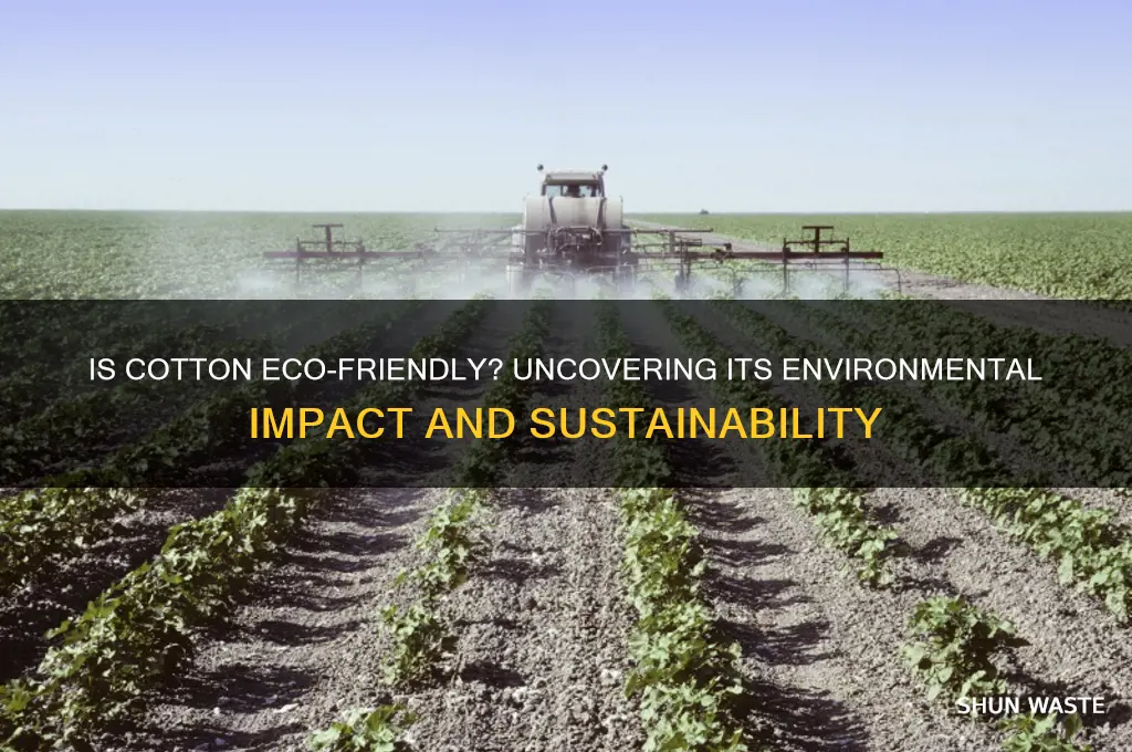 Is Cotton Eco-Friendly? Uncovering Its Environmental Impact And ...
